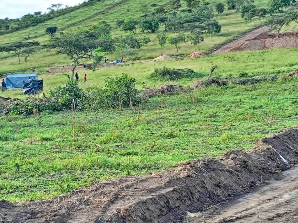 Home 1 - Africus SouthWest Estates